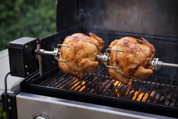 Lightweight/Rotisserie Chicken Motor Solutions - FengGrill